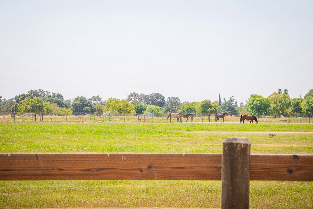 Elverta Park | Homes for Sale Antelope CA | Solar Homes