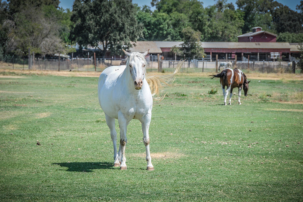 Elverta Park | Homes for Sale Antelope CA | Solar Homes