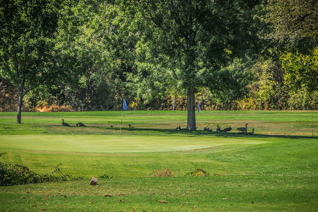 Elverta Park | Homes for Sale Antelope CA | Solar Homes