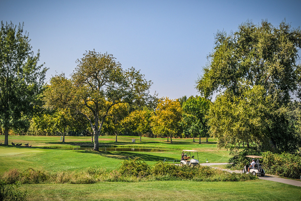 Elverta Park | Homes for Sale Antelope CA | Solar Homes