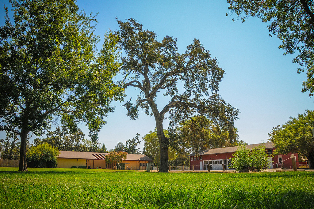 Elverta Park | Homes for Sale Antelope CA | Solar Homes