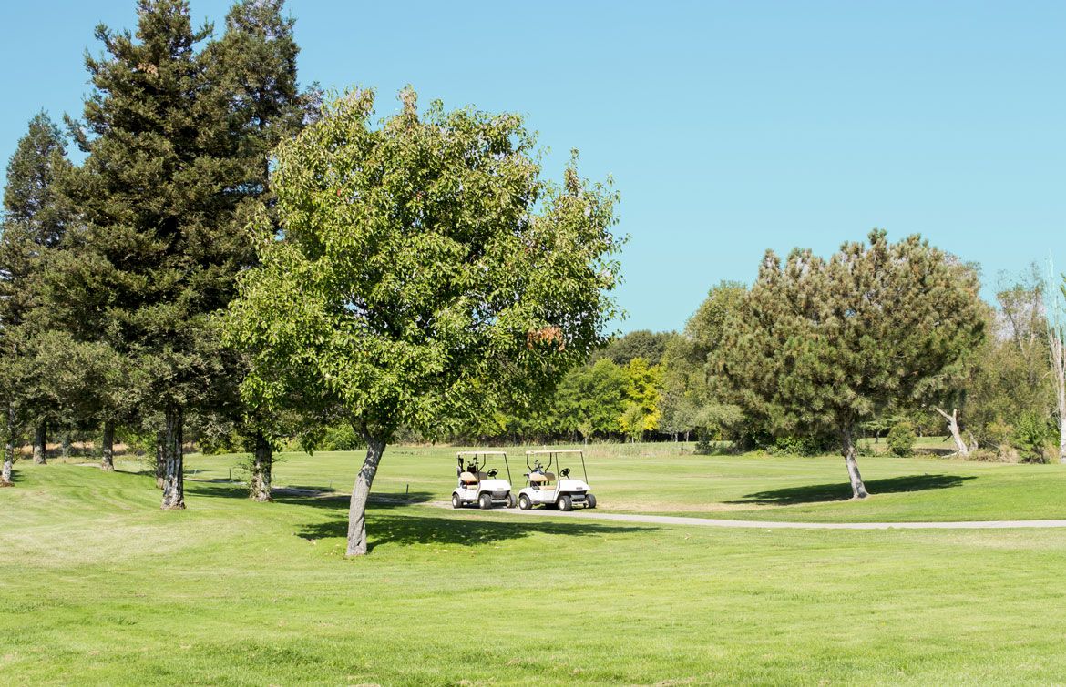 Elverta Park | Homes for Sale Antelope CA | Solar Homes